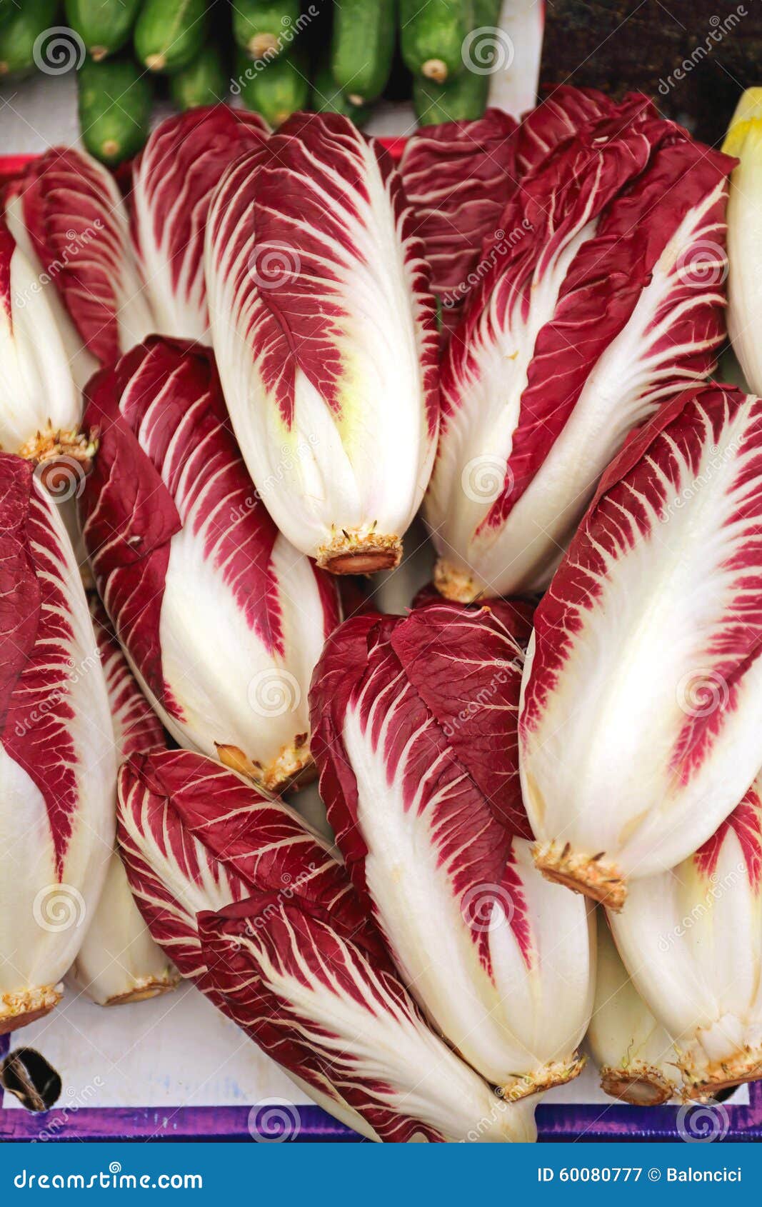 Radicchio stock image. Image of bunch, vegetable, market - 60080777