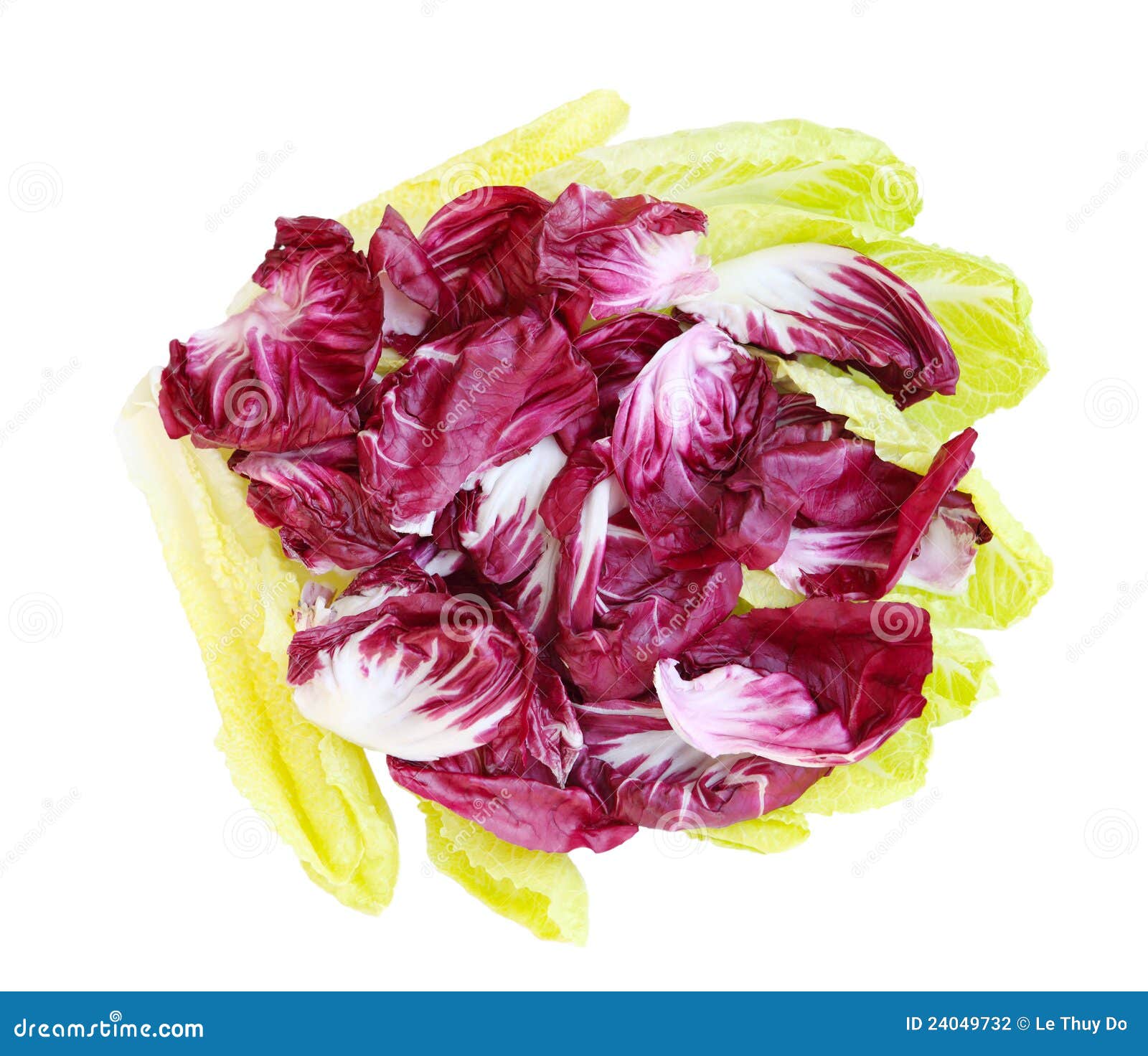 Radicchio and Romance Lettuce Stock Photo - Image of salad, vegetable ...