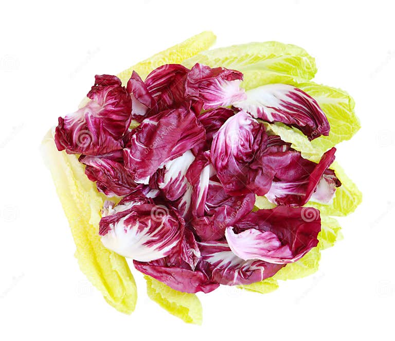 Radicchio and Romance Lettuce Stock Photo - Image of salad, vegetable ...
