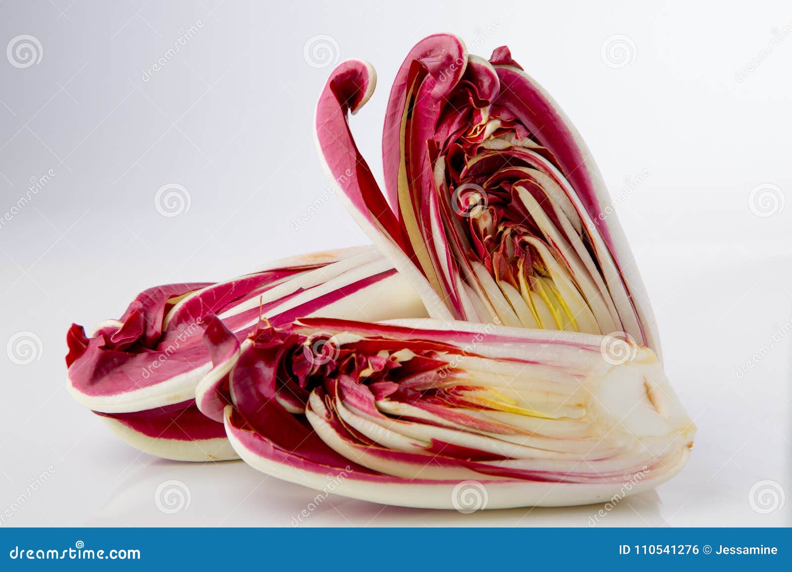 Radicchio Treviso fotografia stock. Immagine di sfondo - 110541276