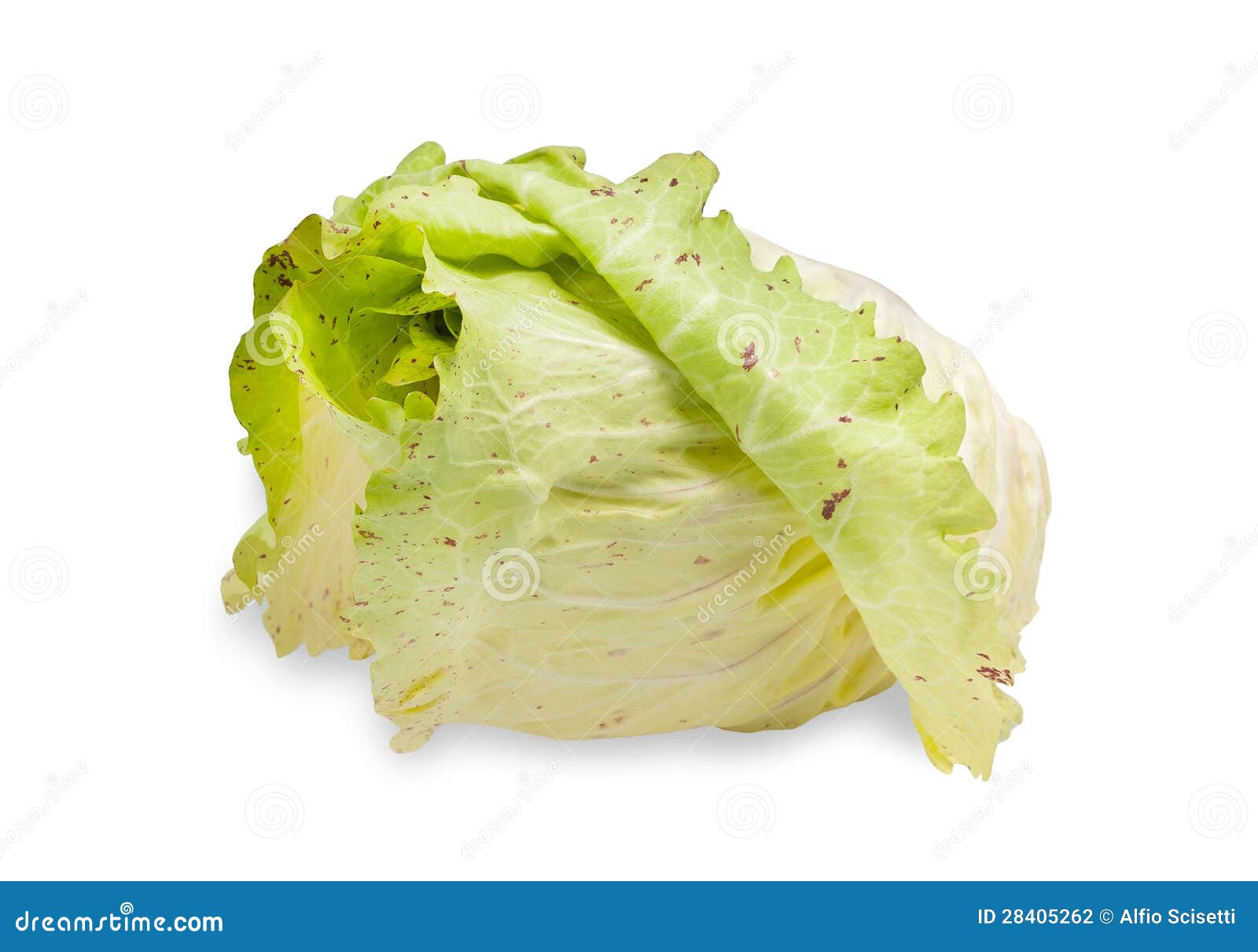 Radicchio Variegato Di Castelfranco Stock Photo - Image of crunchy ...
