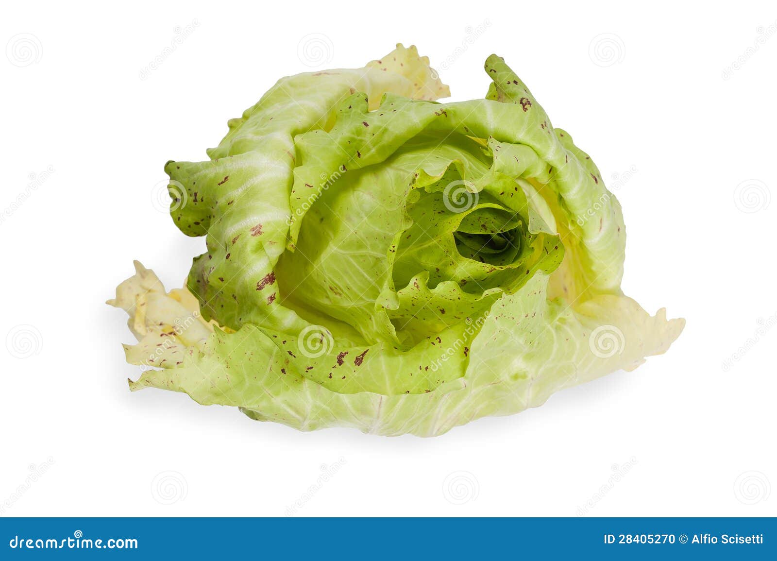 Radicchio Variegato Di Castelfranco Stock Photo - Image of lettuce ...