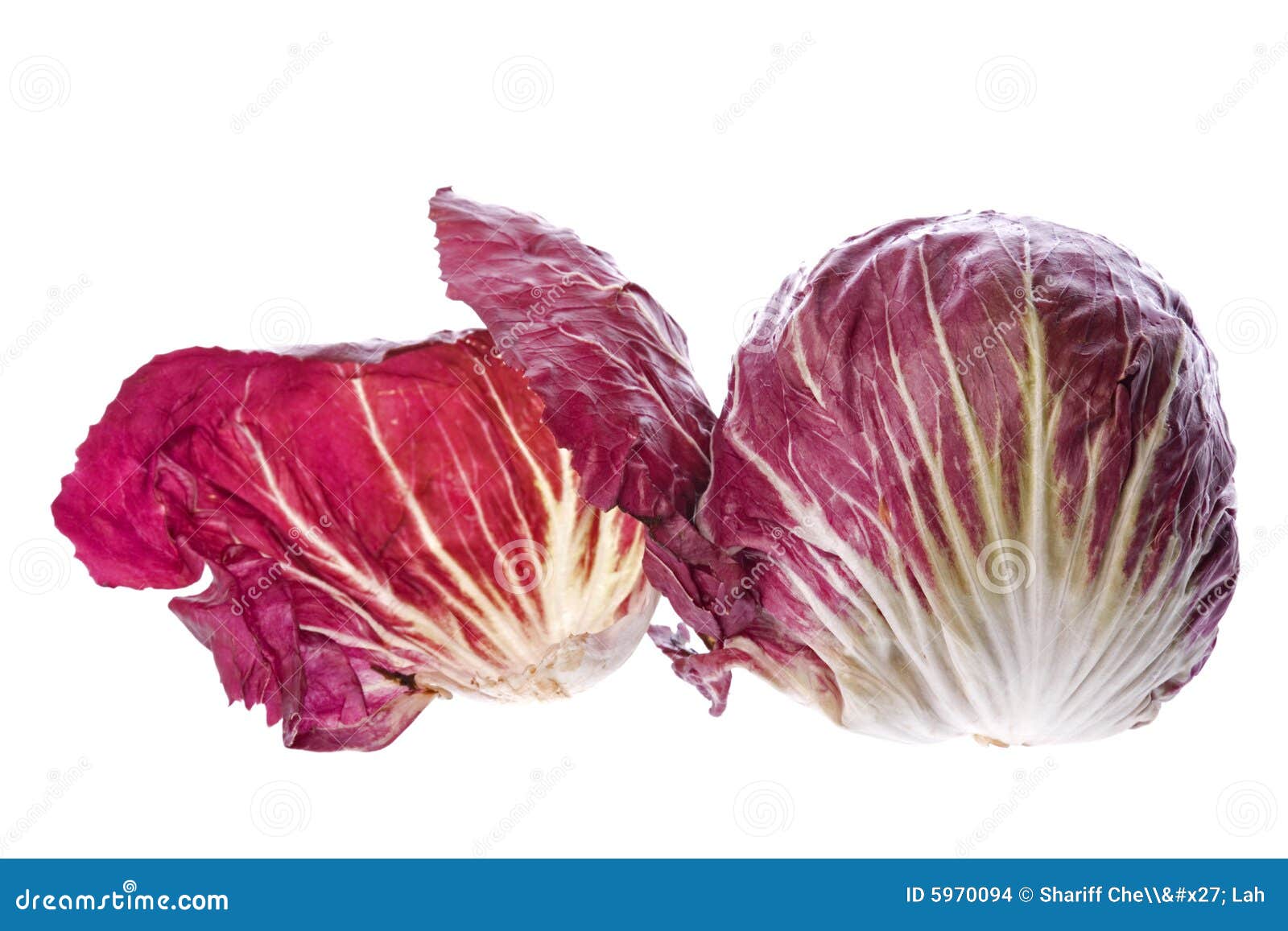 Radicchio Vegetable stock photo. Image of chicory, organic - 5970094