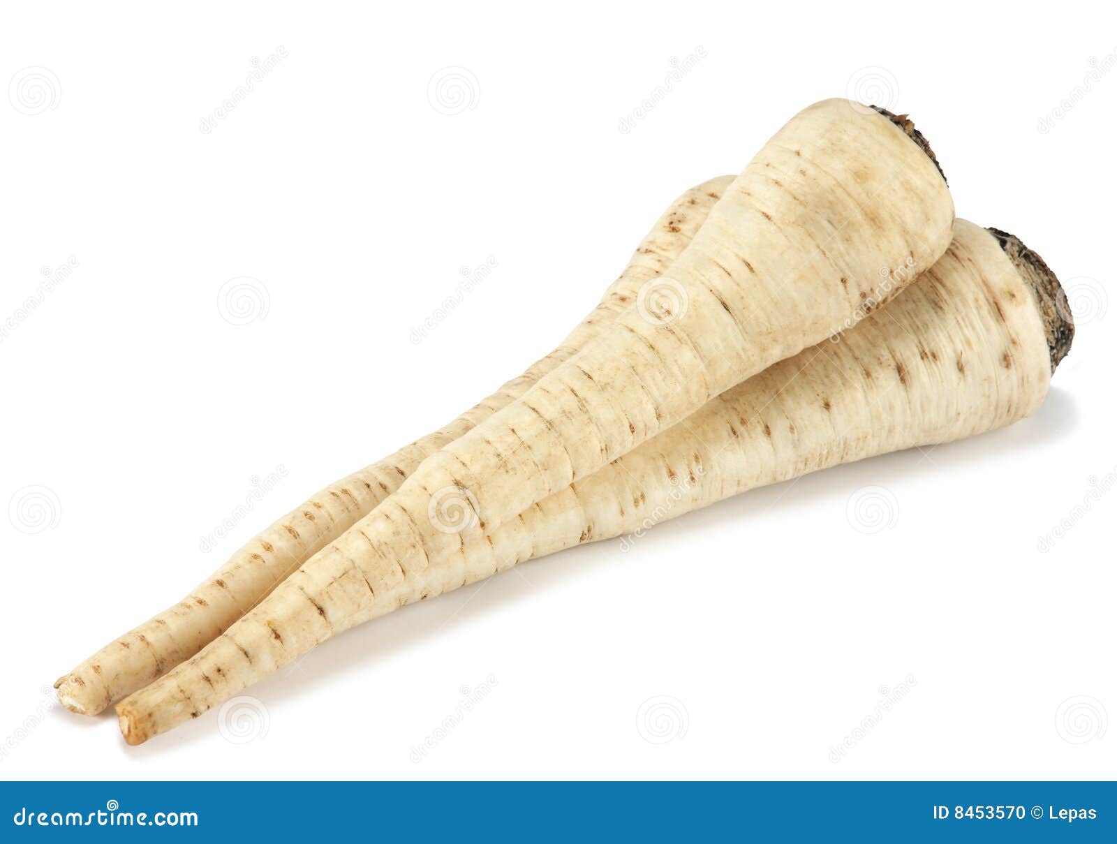 Radice del prezzemolo fotografia stock. Immagine di grezzo - 8453570