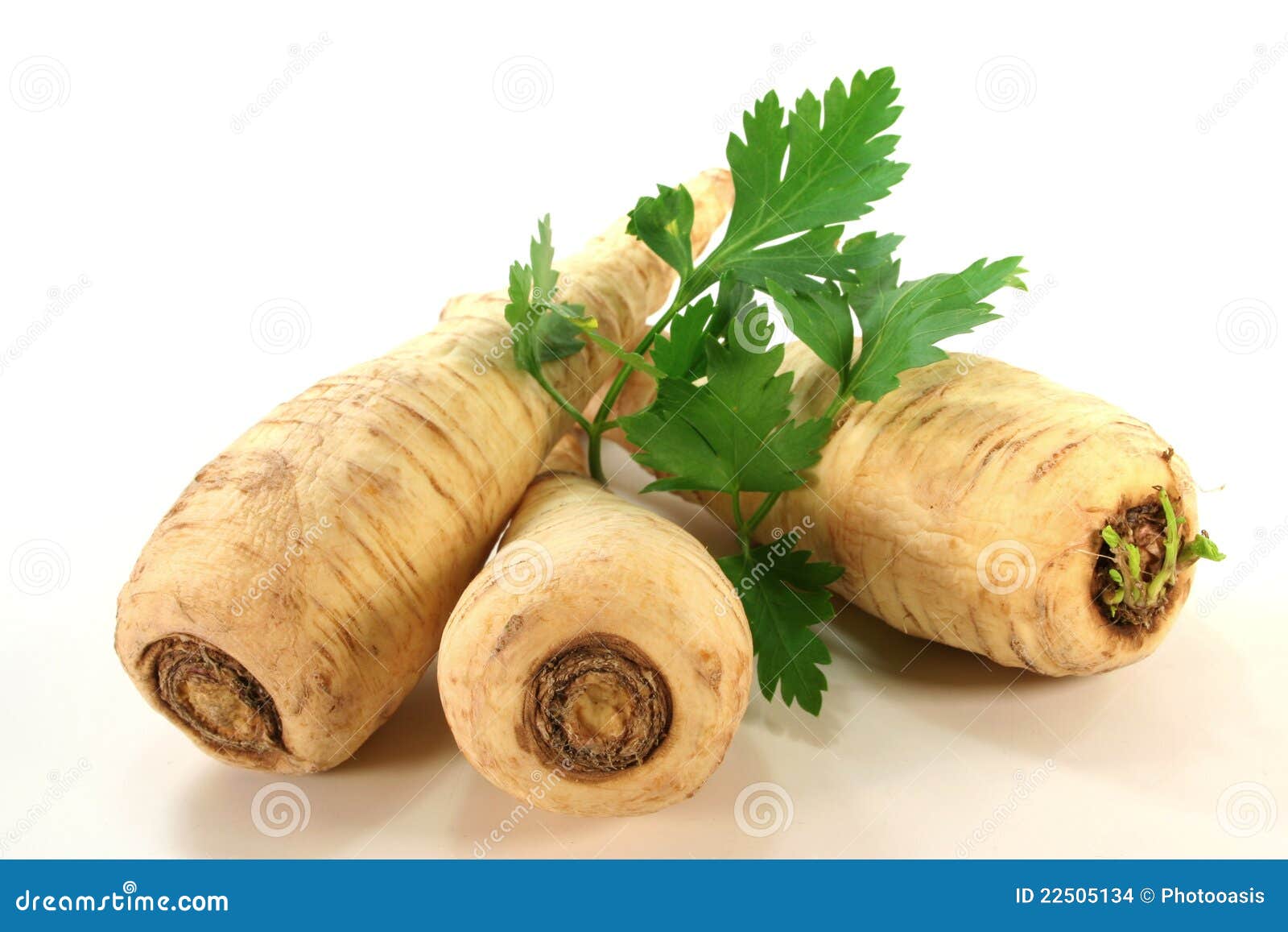 Radice Del Prezzemolo Con Prezzemolo Liscio Fotografia Stock - Immagine ...