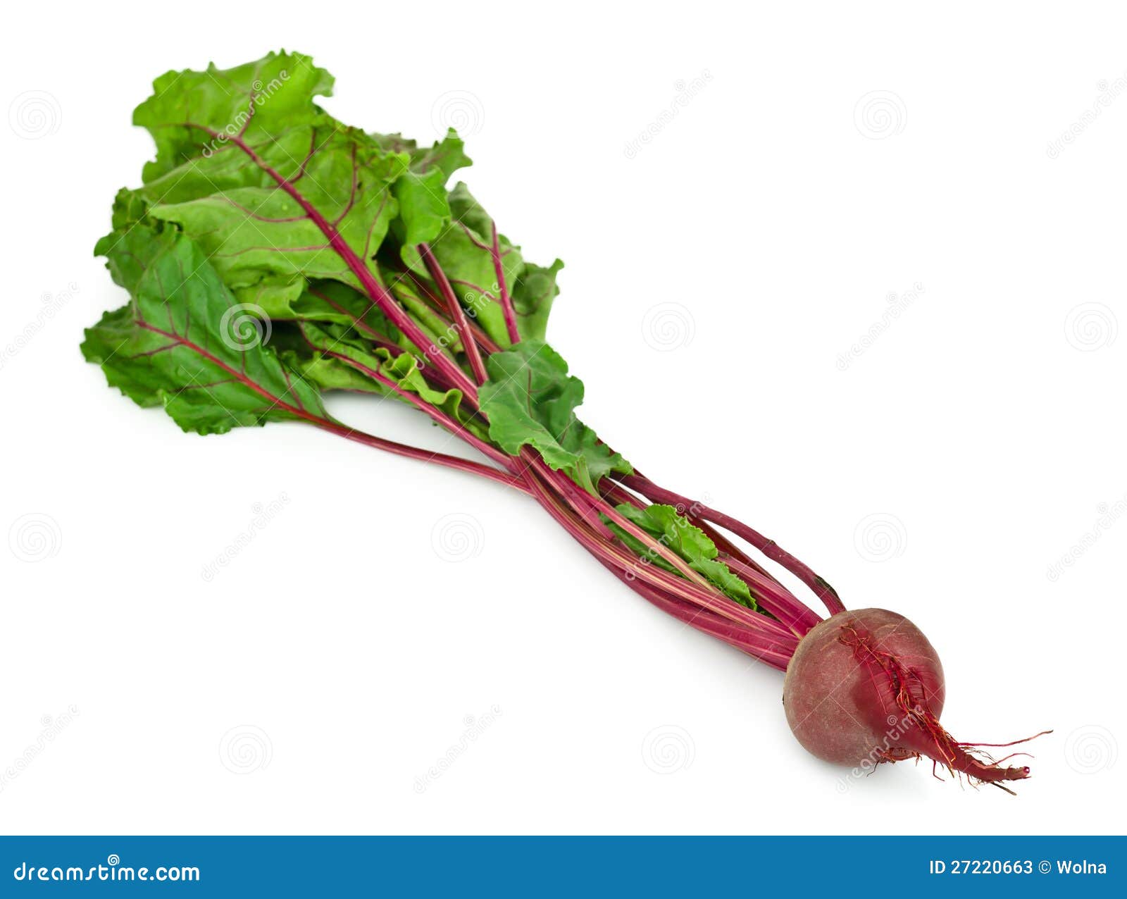 Radice Della Barbabietola Su Bianco Immagine Stock - Immagine di salute ...