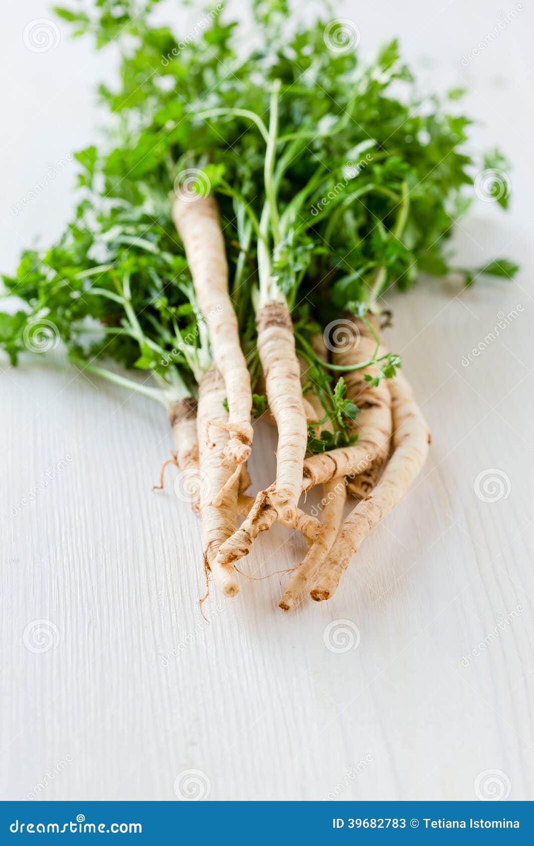 Radici del prezzemolo immagine stock. Immagine di mazzo - 39682783