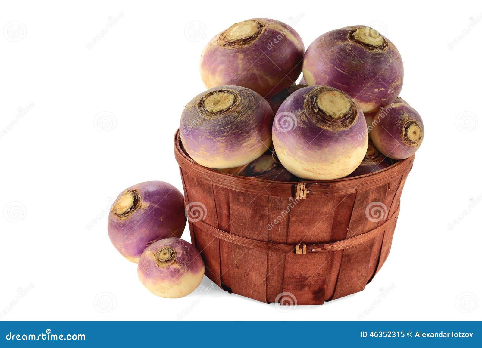 Radici Di Verdure Della Rapa Immagine Stock - Immagine di viola ...