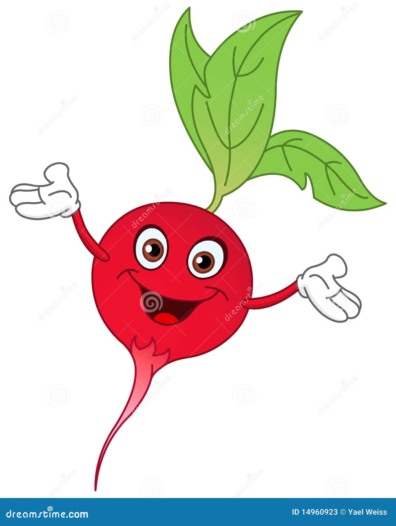 Radijs vector illustratie. Illustration of tuin, vrucht - 14960923