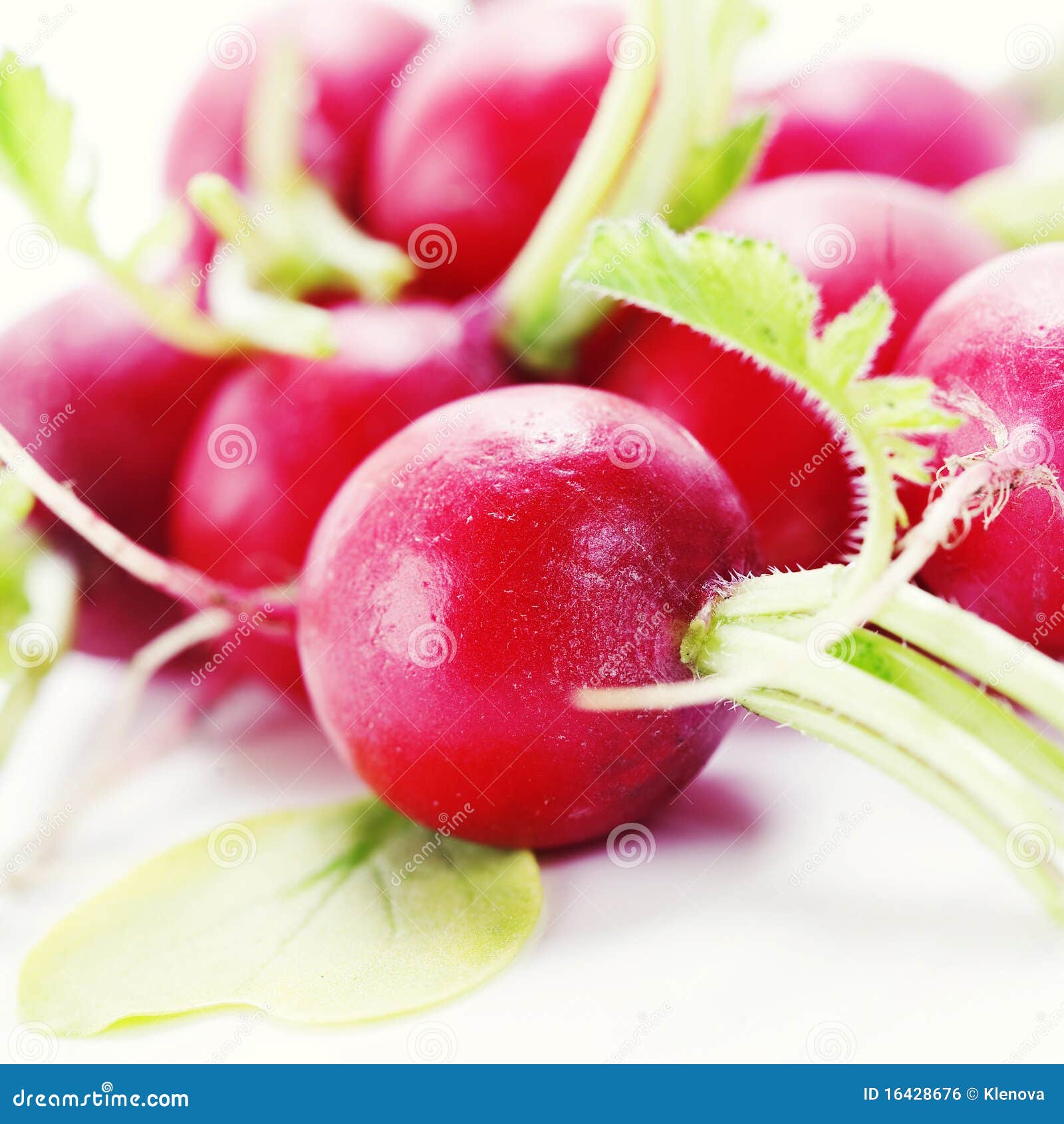 Radijs stock foto. Image of radijs, rijp, versheid, saus - 16428676