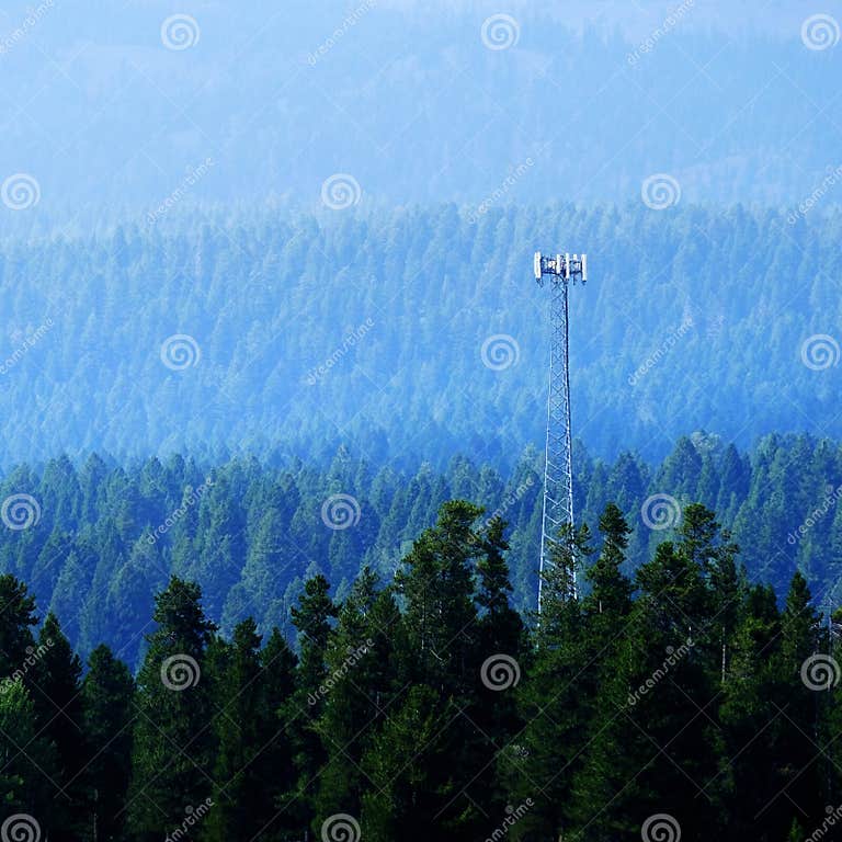 Radio Cell Tower in Pine Forest Wilderness Communications System Stock ...