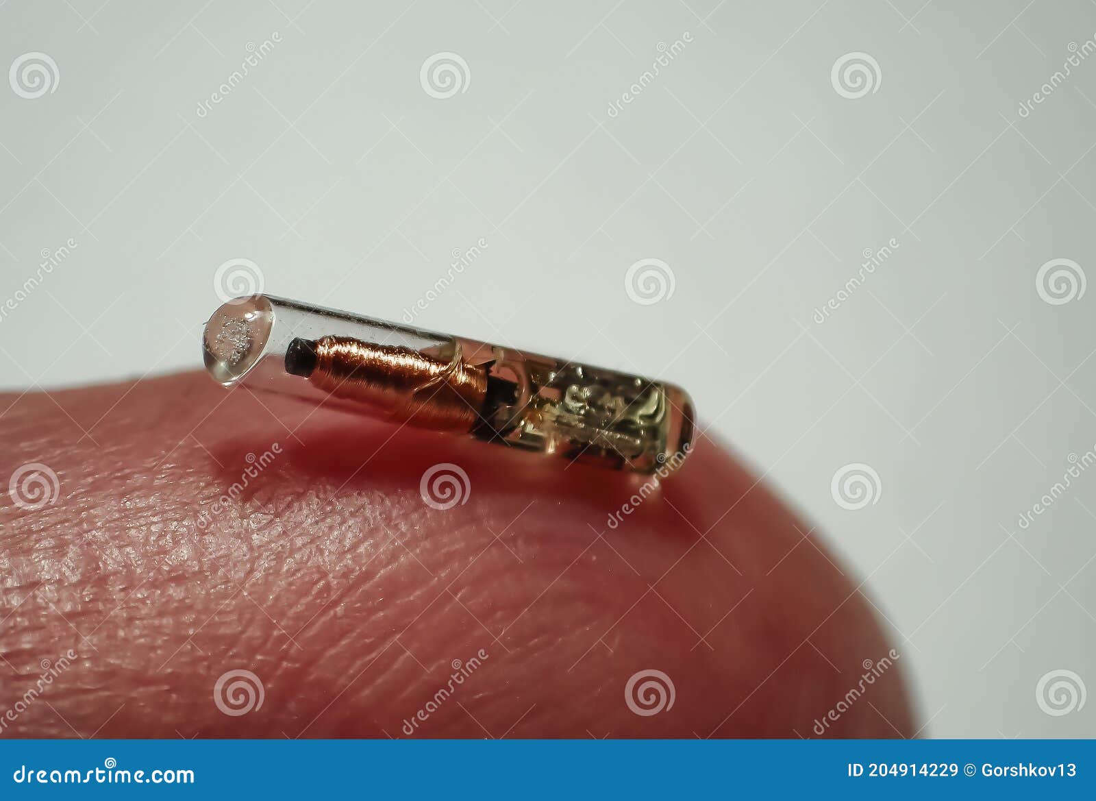 Radio Frequency Identification - RFID Microchip Stock Image - Image of ...