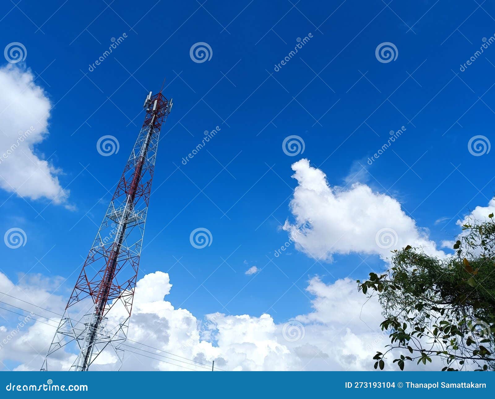 Radio Tower and Tree on the Sunny Day Stock Photo - Image of cloud ...
