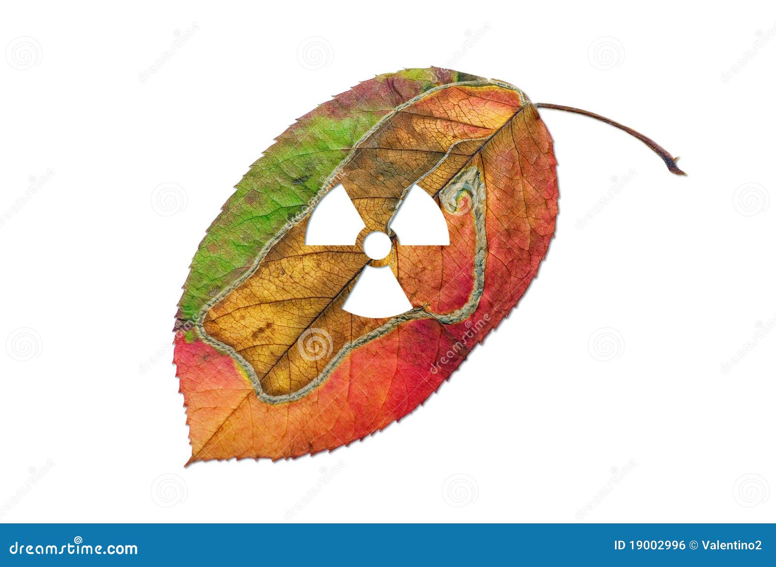 Radioactive stock photo. Image of concept, catastrophic - 19002996