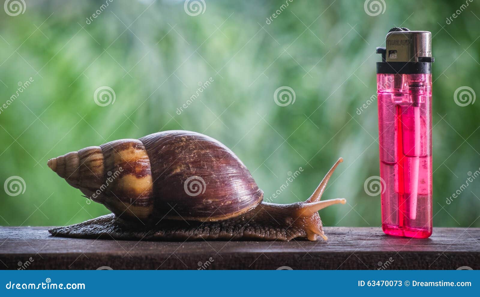 Radioactive stock image. Image of snail, cigarette, lighter - 63470073