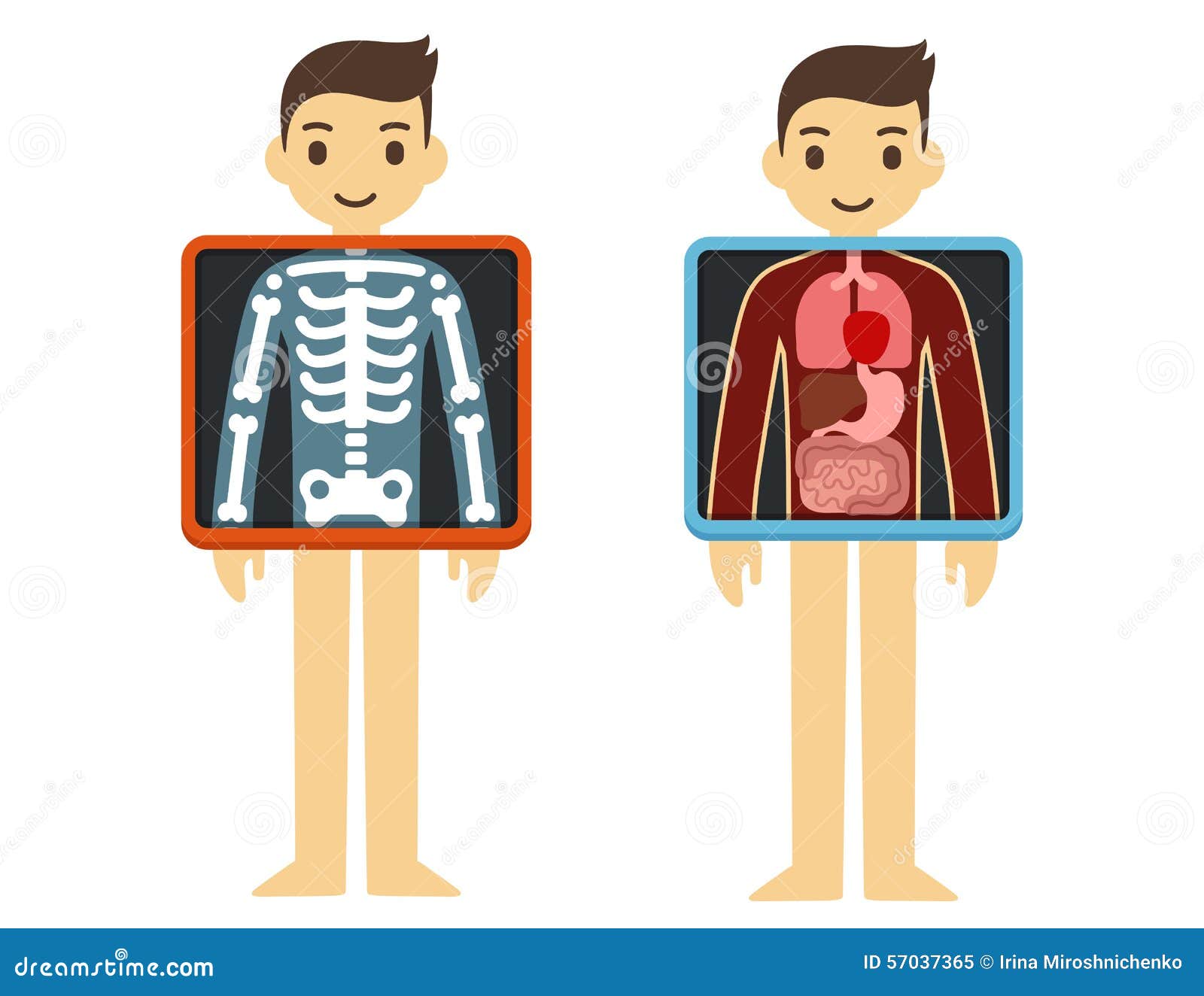 Radiografía ilustración del vector. Ilustración de aprenda - 57037365