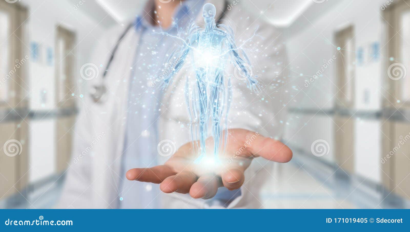 Radiologist Using Digital X-ray Human Body Holographic Scan Projection ...