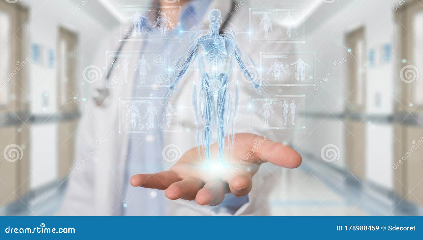 Radiologist Using Digital X-ray Human Body Holographic Scan Projection ...