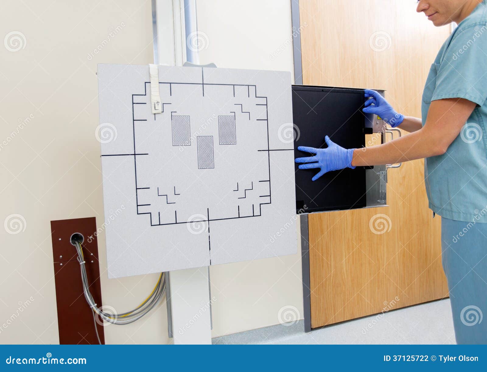 Radiologue Adjusting Xray Film Dans La Machine Photo stock - Image du ...