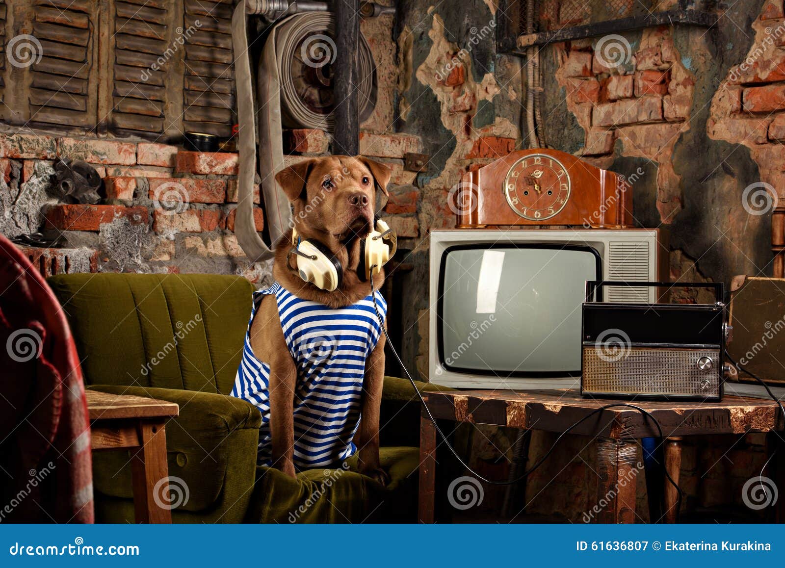 Radioman Del Perro En Estilo Retro Imagen de archivo - Imagen de ...