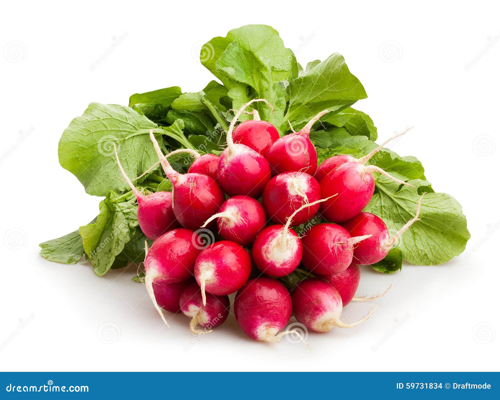 Radis photo stock. Image du rouge, frais, mûr, blanc - 59731834