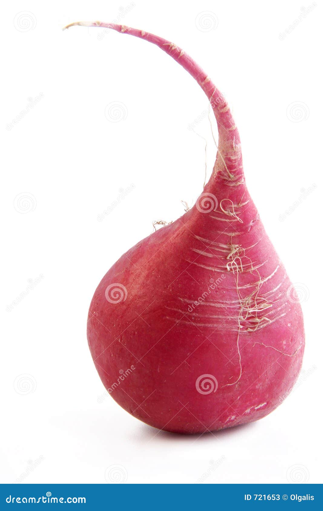 Radis image stock. Image du carte, régime, manger, amoureux - 721653