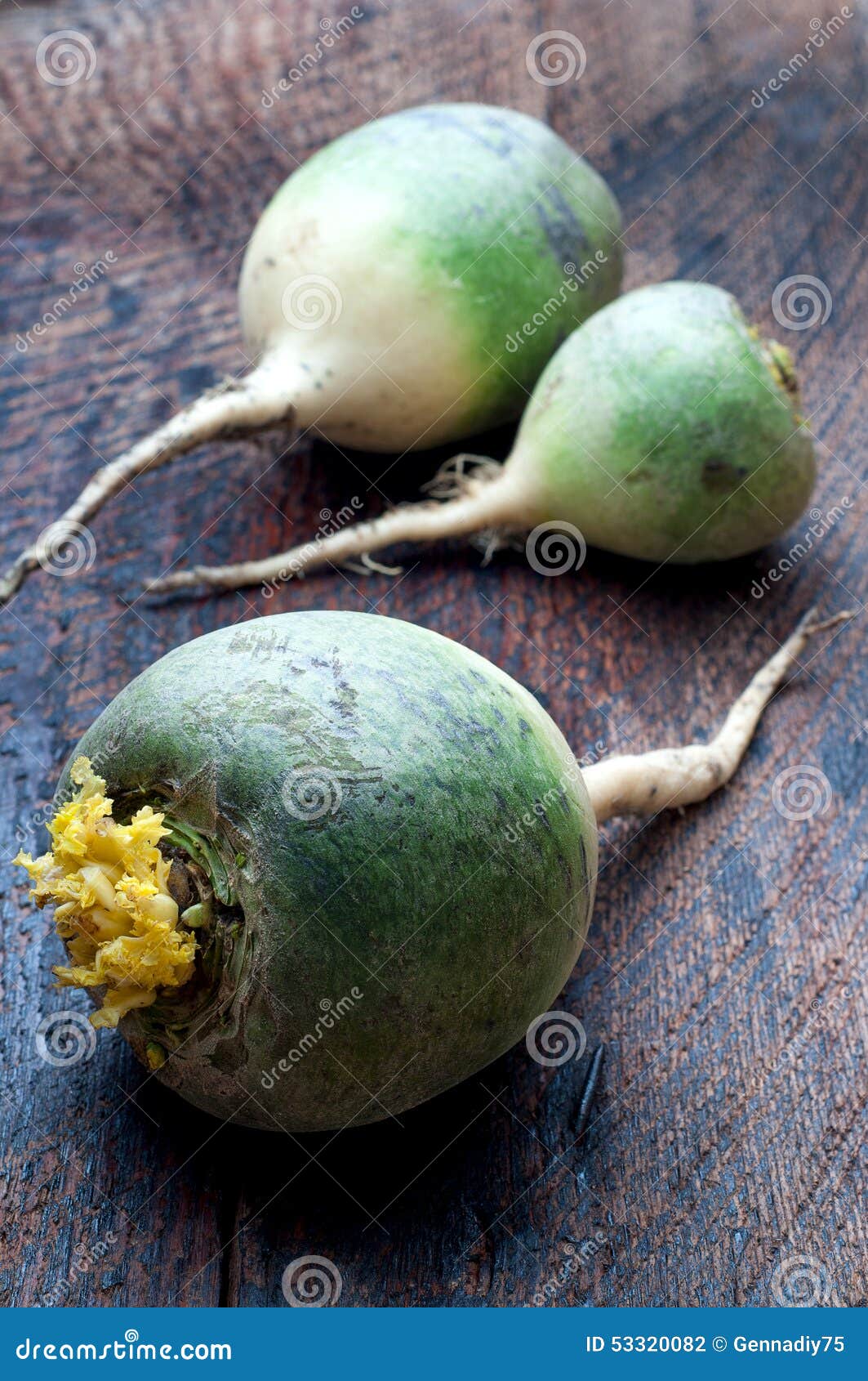 Radis chinois vert photo stock. Image du asiatique, régime - 53320082