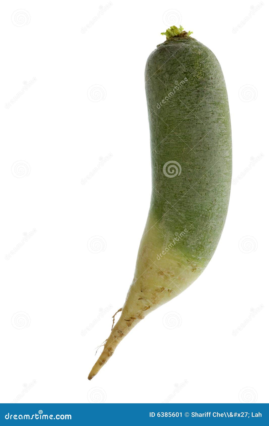 Radis D'isolement Vert Chinois Image stock - Image du frais, flore: 6385601
