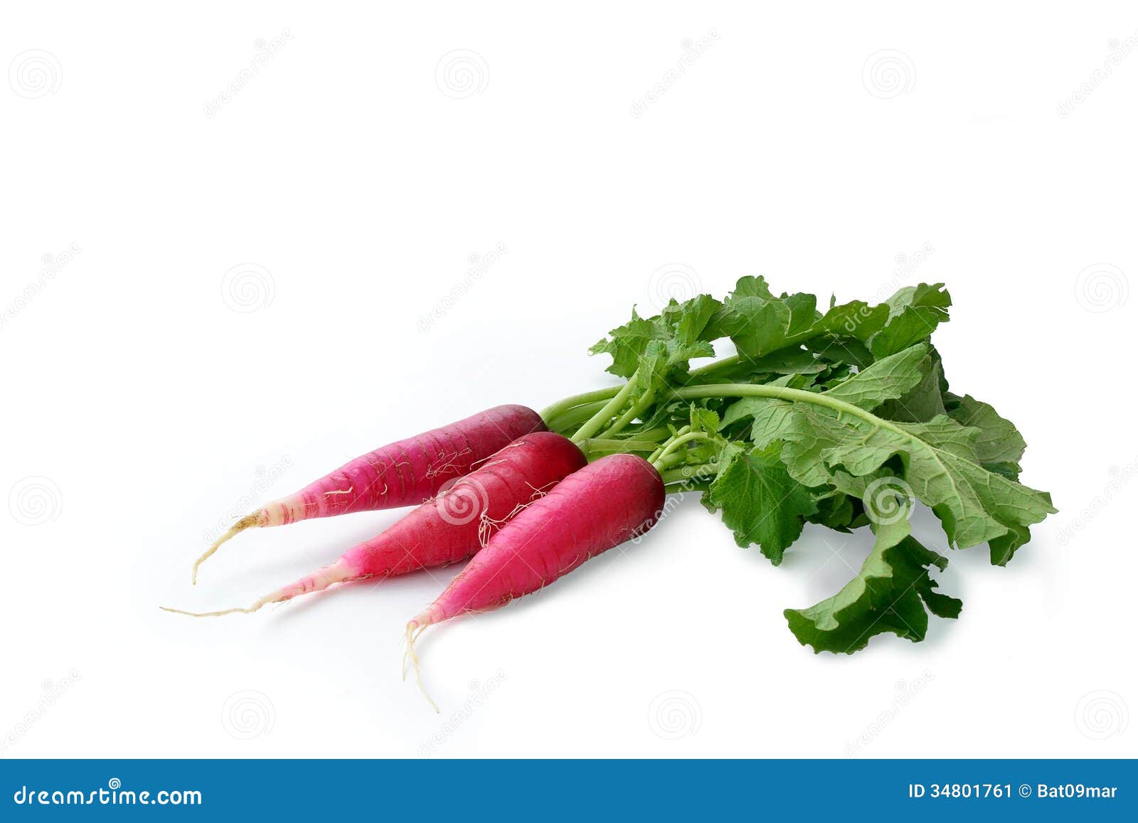Radis rouge image stock. Image du lames, nourriture, longtemps - 34801761
