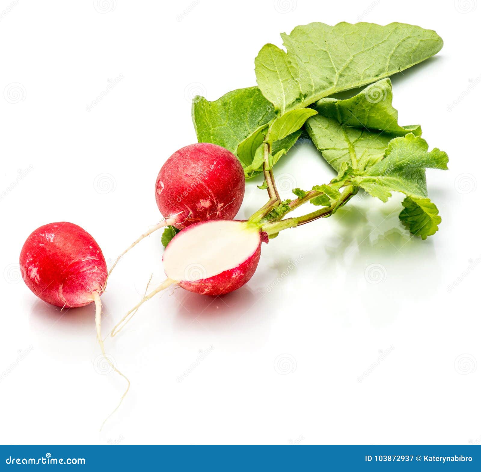 Radis rouge d'isolement image stock. Image du prise - 103872937