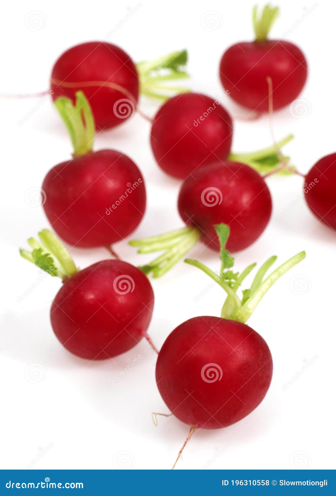 Radis Rouge, Raphanus Sativus Sur Le Fond Blanc Photo stock - Image du ...