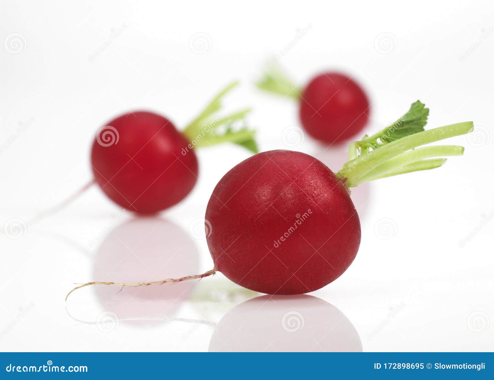 RADIS ROUGE stock image. Image of sativus, botany, white - 172898695