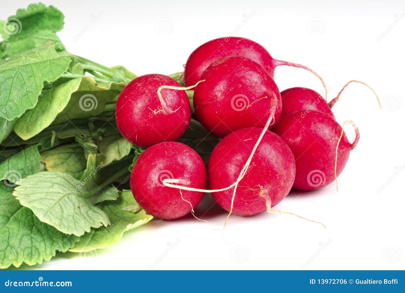 Radish stock photo. Image of isolated, radish, healthy - 13972706