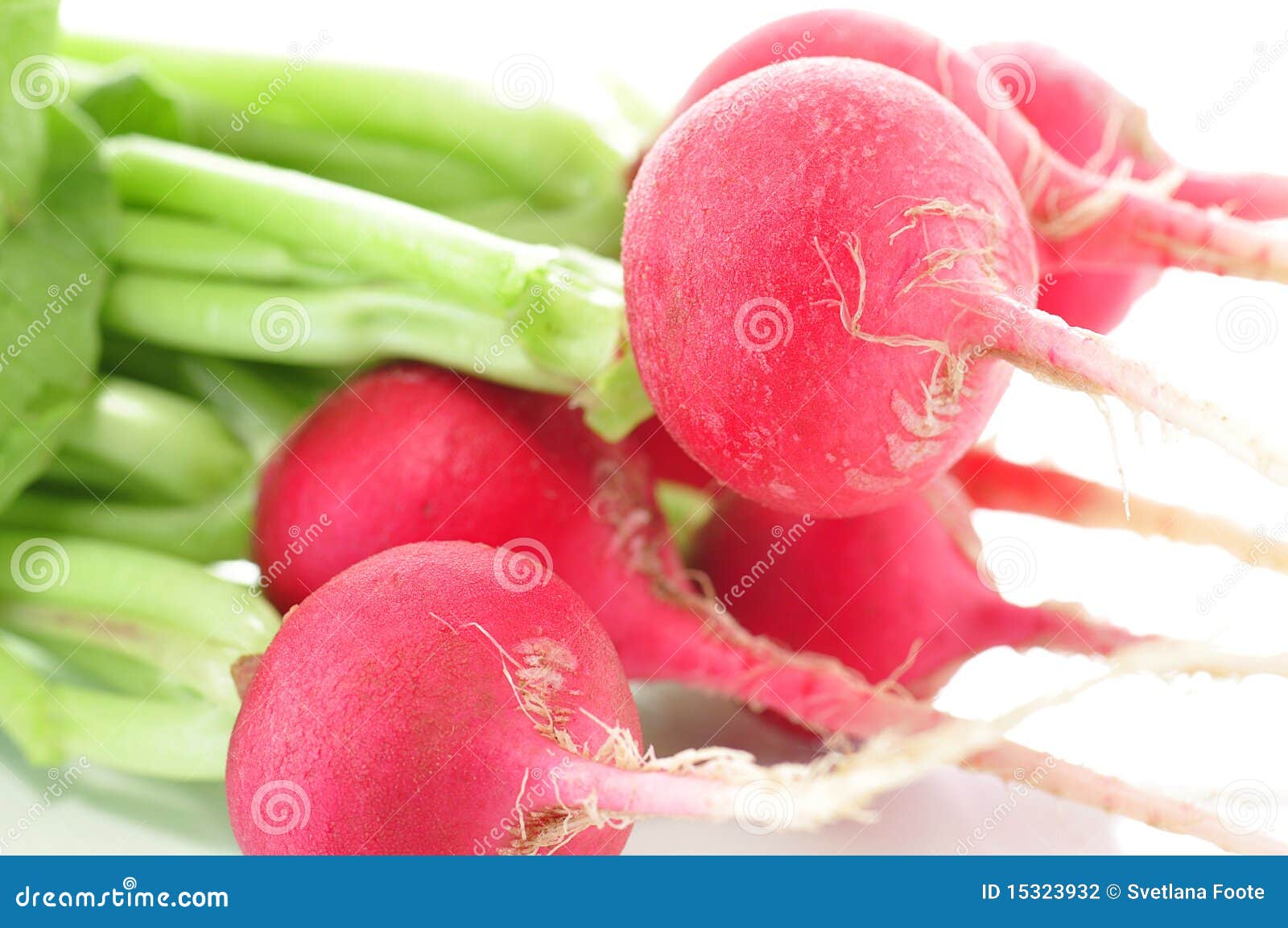 Radish stock photo. Image of bunch, green, farm, freshness - 15323932