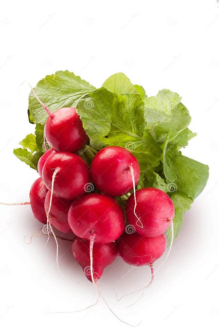 Radish stock photo. Image of radis, freshness, radish - 19236510