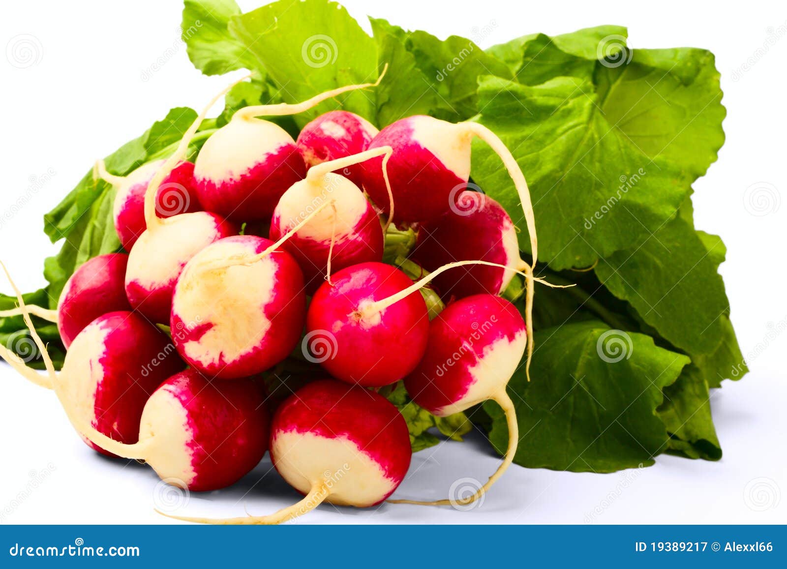 Radish stock image. Image of produce, radish, organic - 19389217