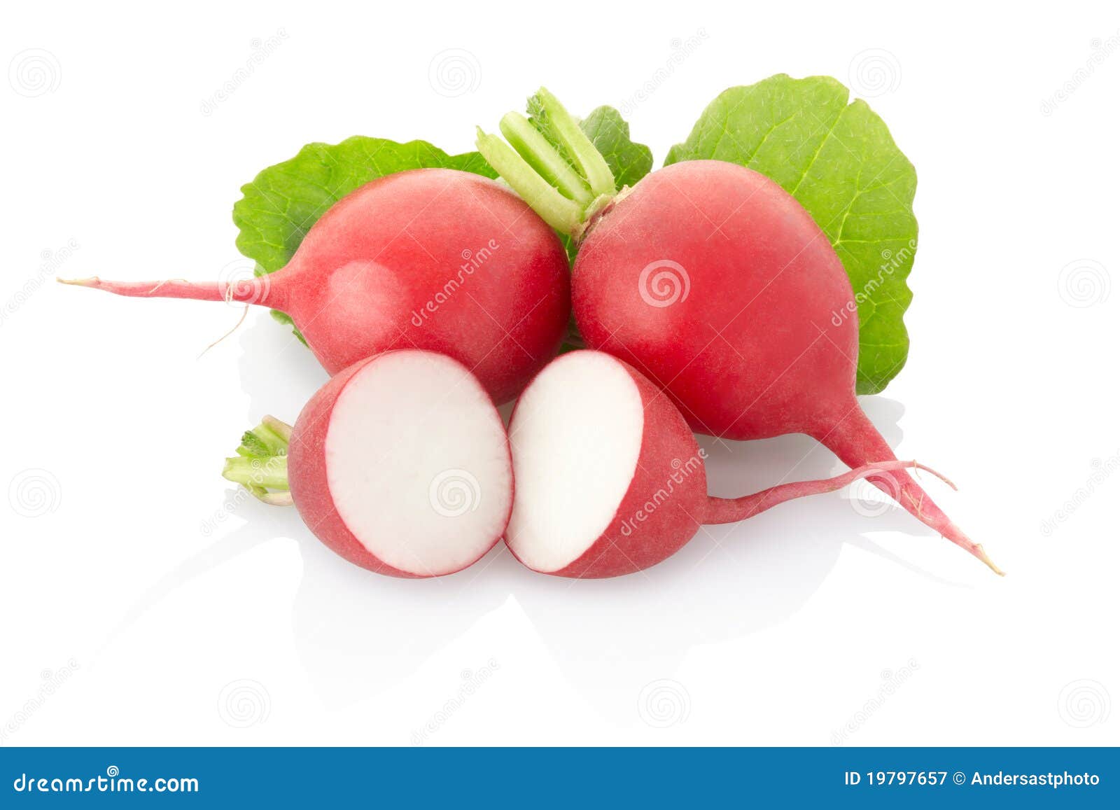 Radish stock image. Image of fresh, close, farm, isolated - 19797657