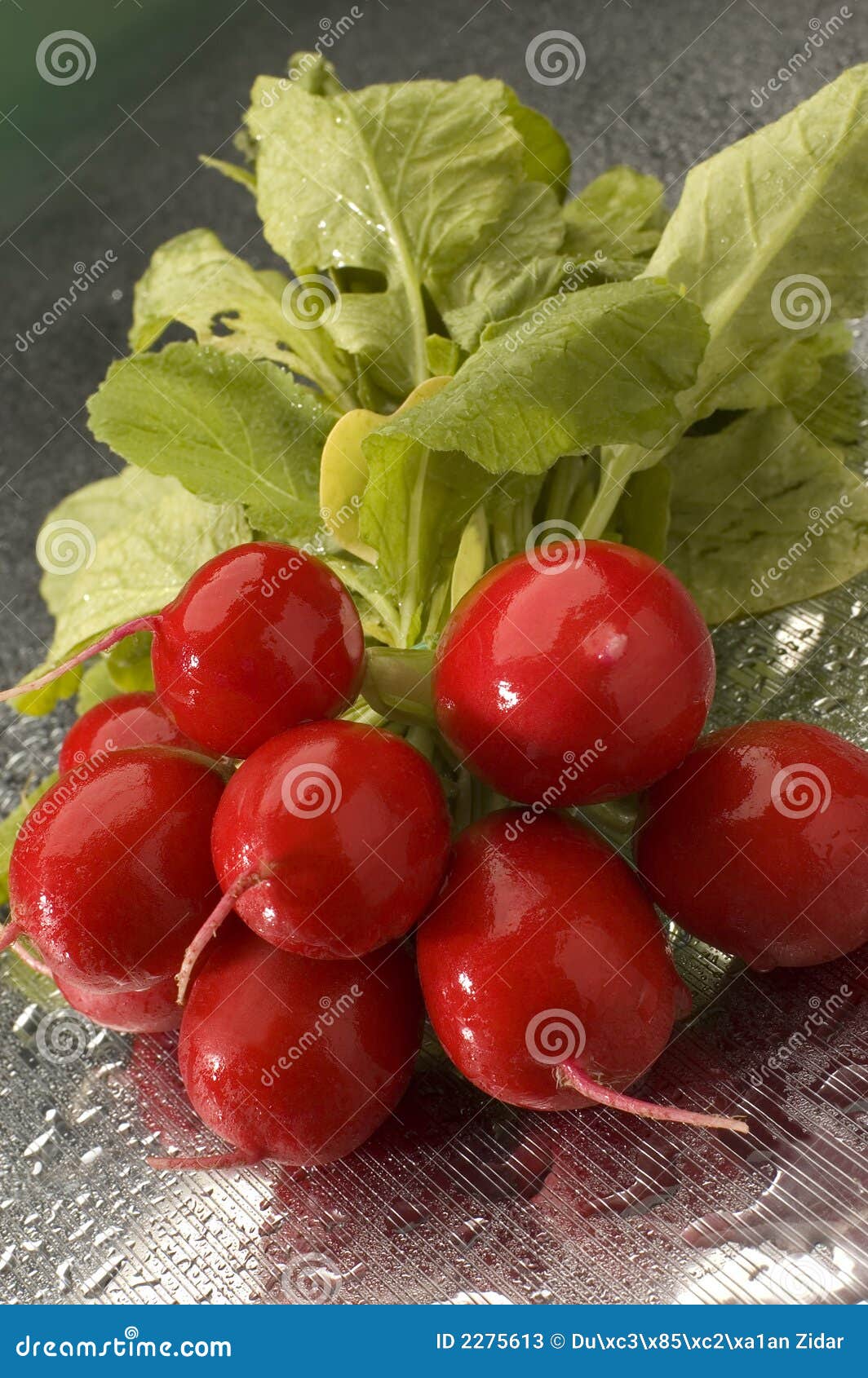 Radish stock image. Image of garden, healthy, plant, radish - 2275613