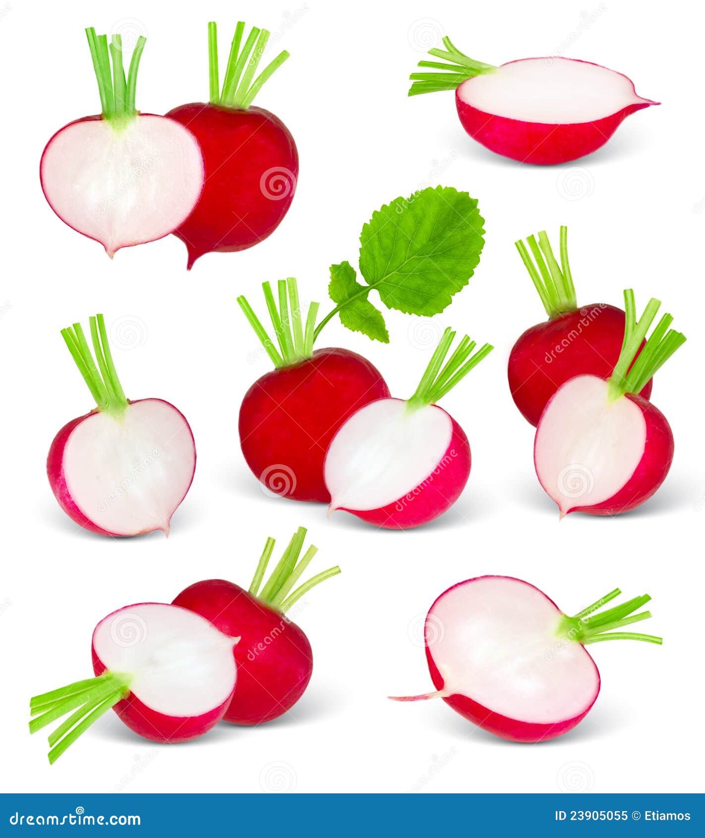 Radish stock image. Image of leaf, ingredient, radish - 23905055