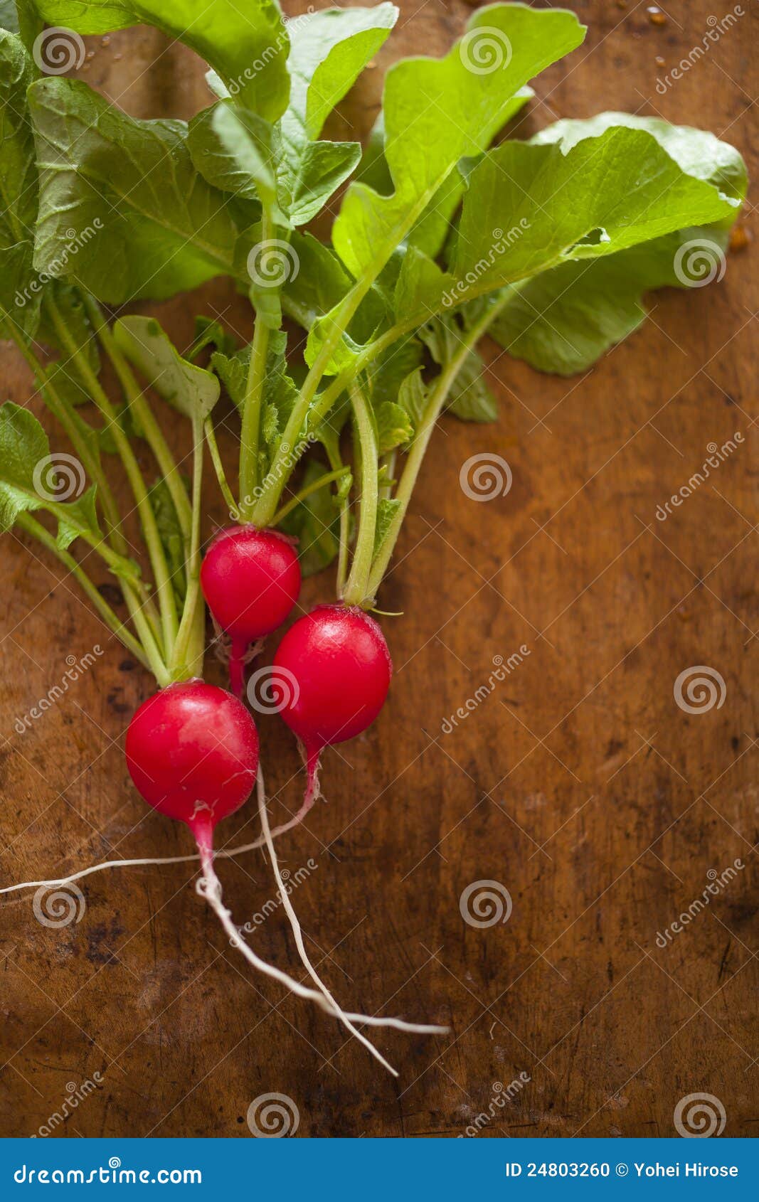 Radish stock photo. Image of healthy, fresh, health, food - 24803260