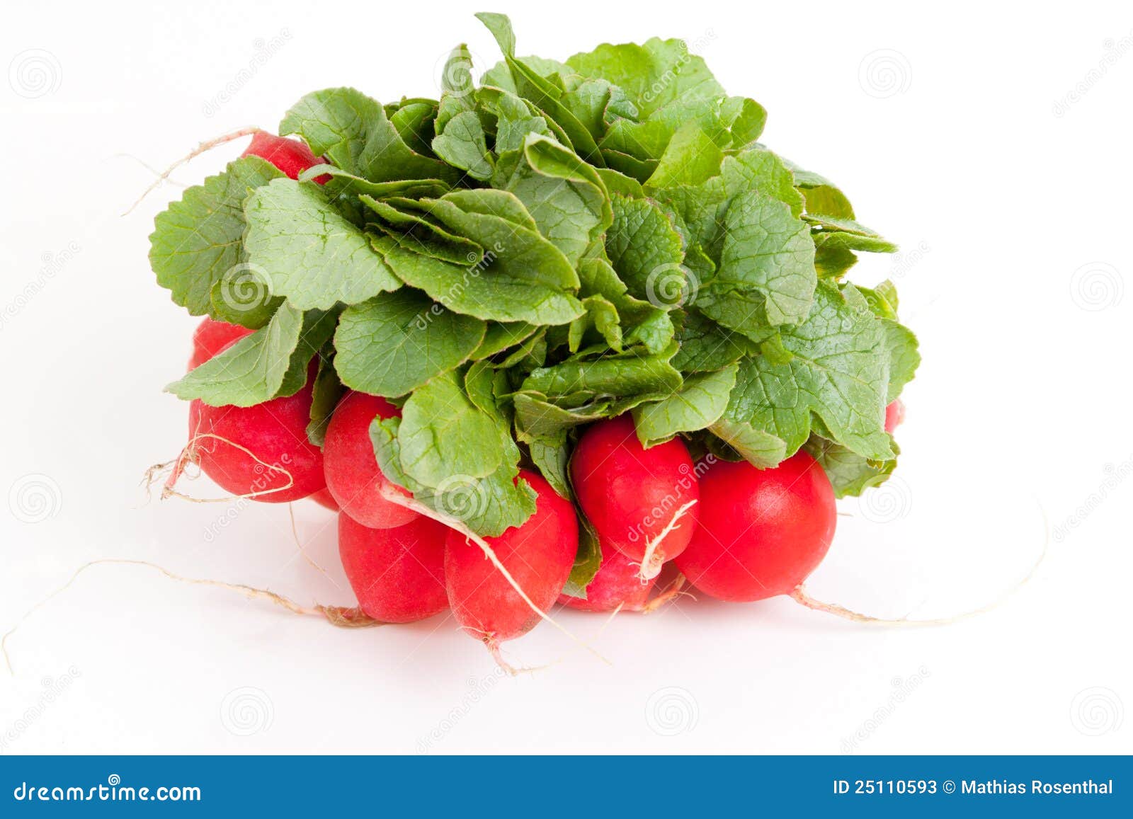 Radish stock image. Image of dieting, beauty, dinner - 25110593