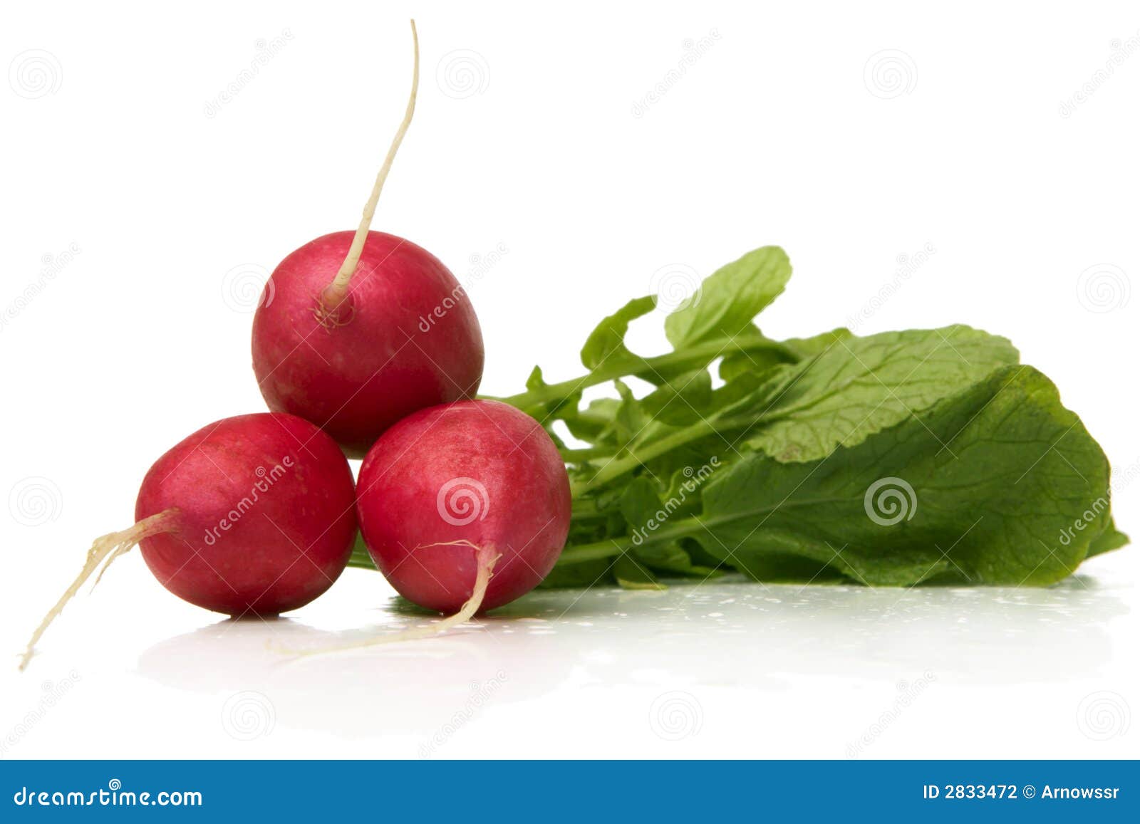 Radish stock photo. Image of diet, radish, close, natural - 2833472