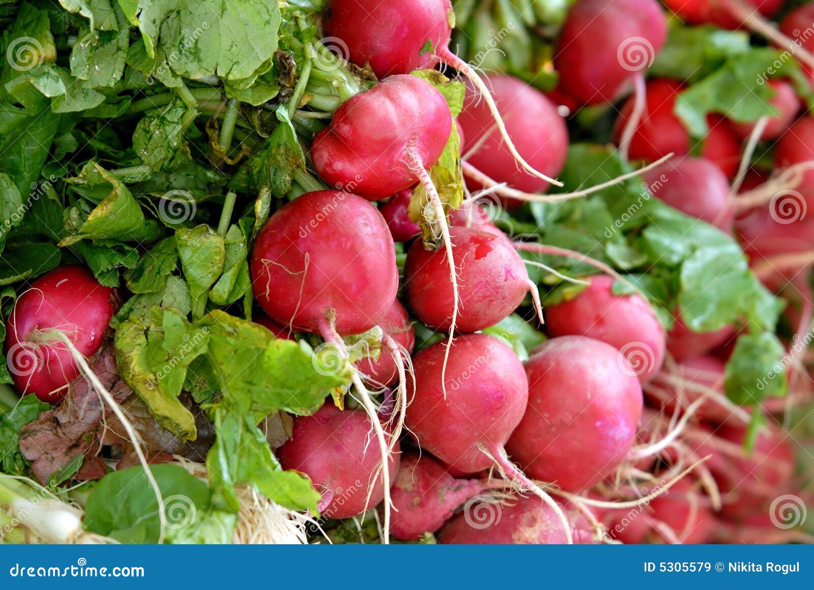 Radish stock image. Image of stack, supermarket, juicy - 5305579