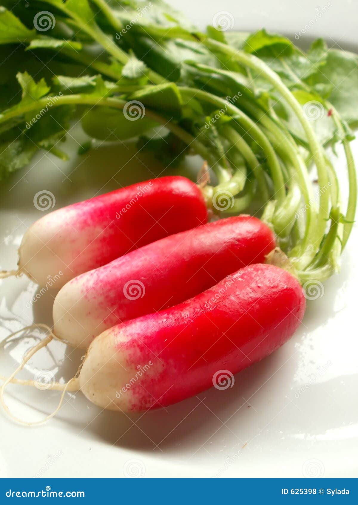 Radish stock photo. Image of nutrition, health, leaf, fresh - 625398