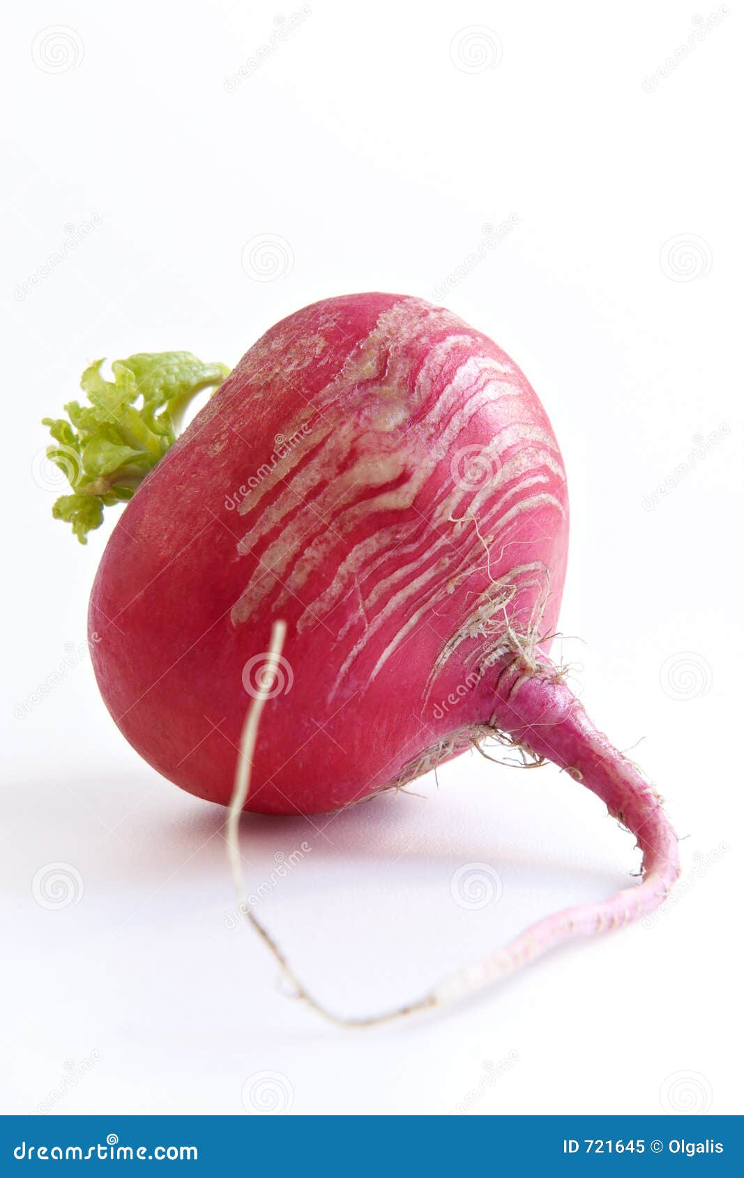 Radish stock image. Image of foodstuff, macro, detail, cook - 721645