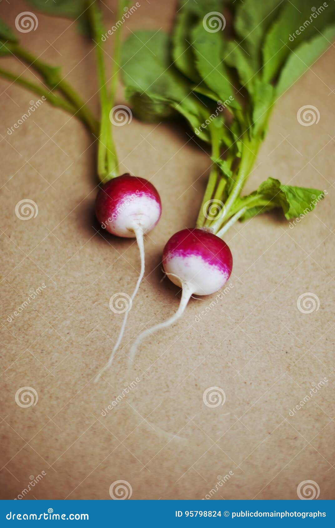 Radish Picture. Image: 95798824