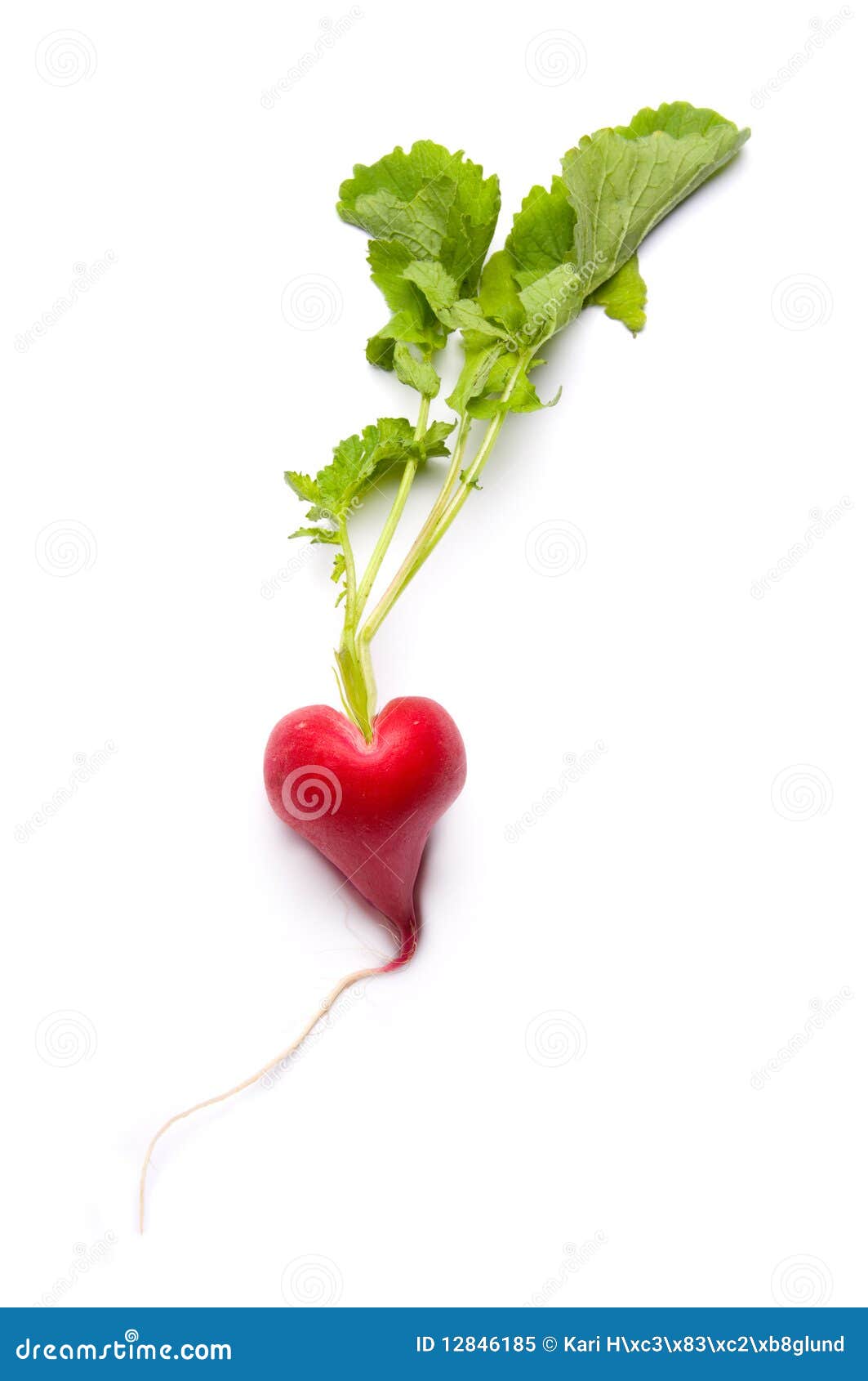 Radish as a heart stock image. Image of organic, vegan - 12846185
