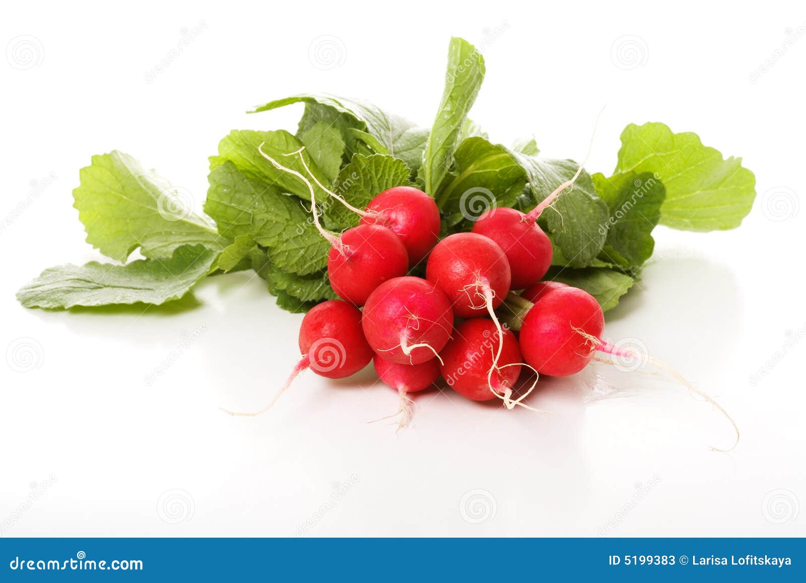 Radish Bunch Stock Photos - Image: 5199383