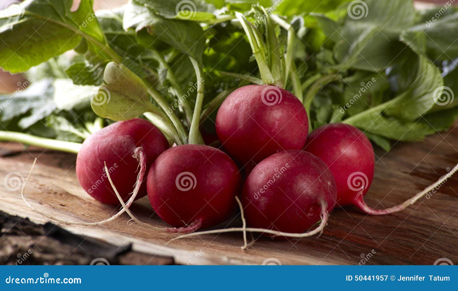 Radish Bunch stock image. Image of garden, freshness - 50441957