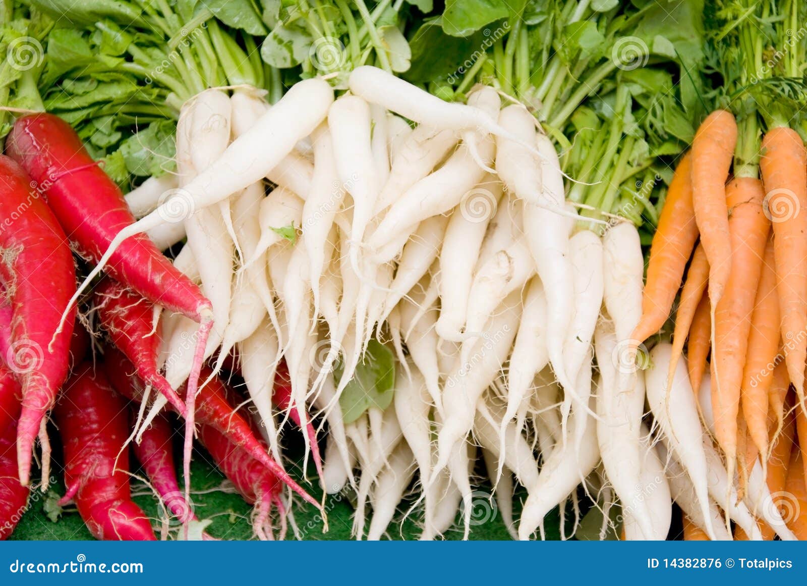 Radish carrots stock photo. Image of roots, stall, market - 14382876